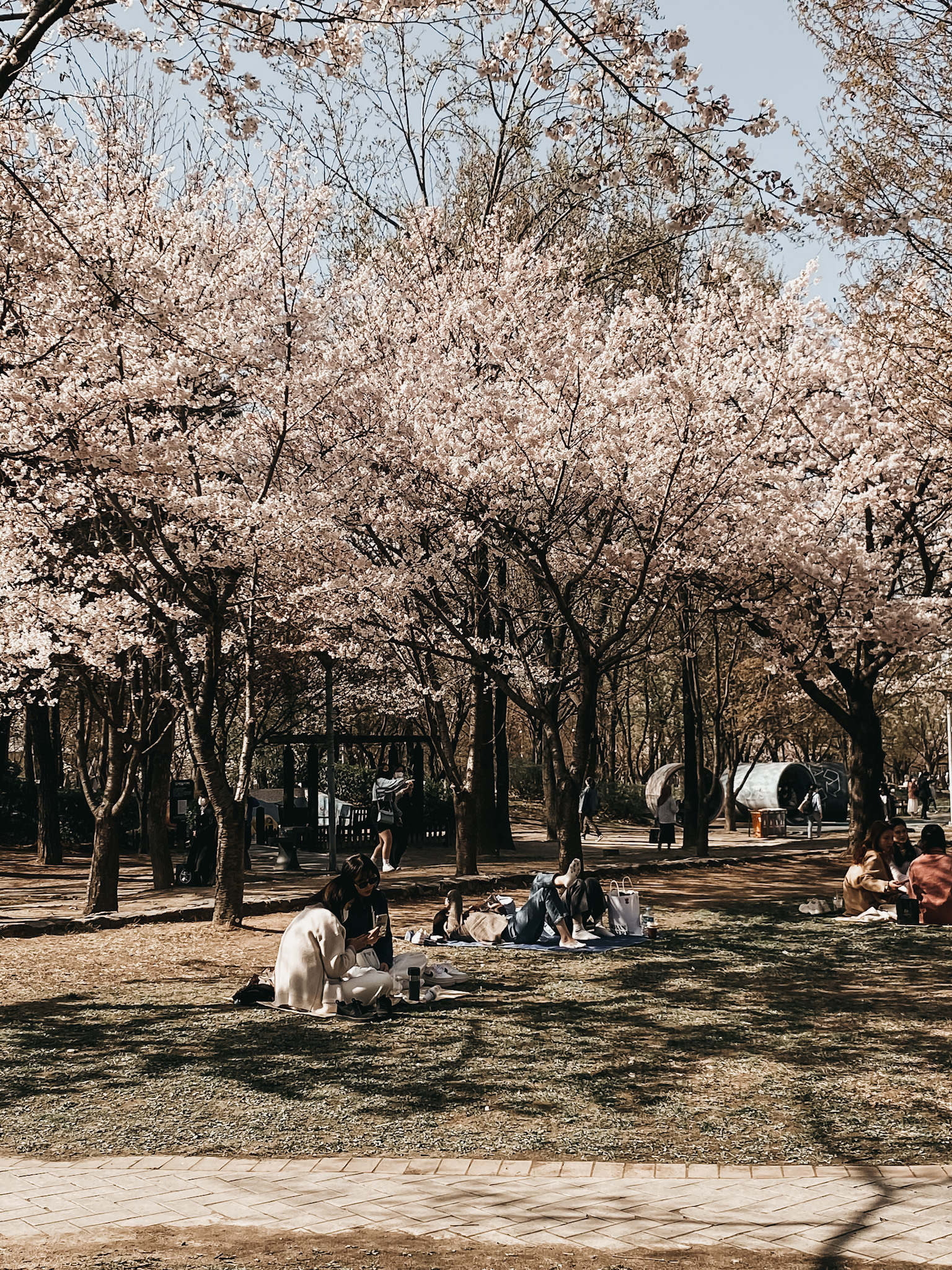 Ultimate Korea Guide – Everything you need for your Trip! – Next Stop ...