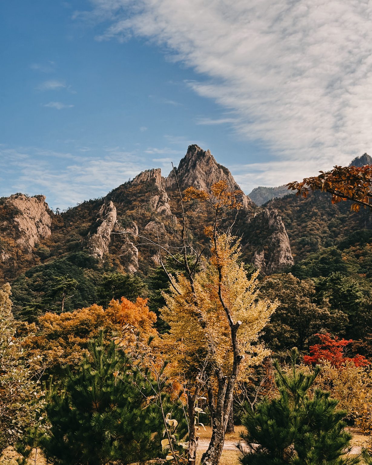 Chasing Colors: A Complete Guide to Fall Foliage 2025 in South Korea ...