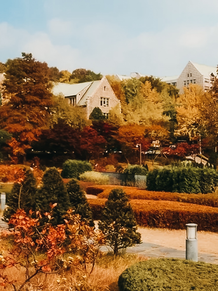 Chasing Colors: A Complete Guide to Fall Foliage in South Korea – Next ...