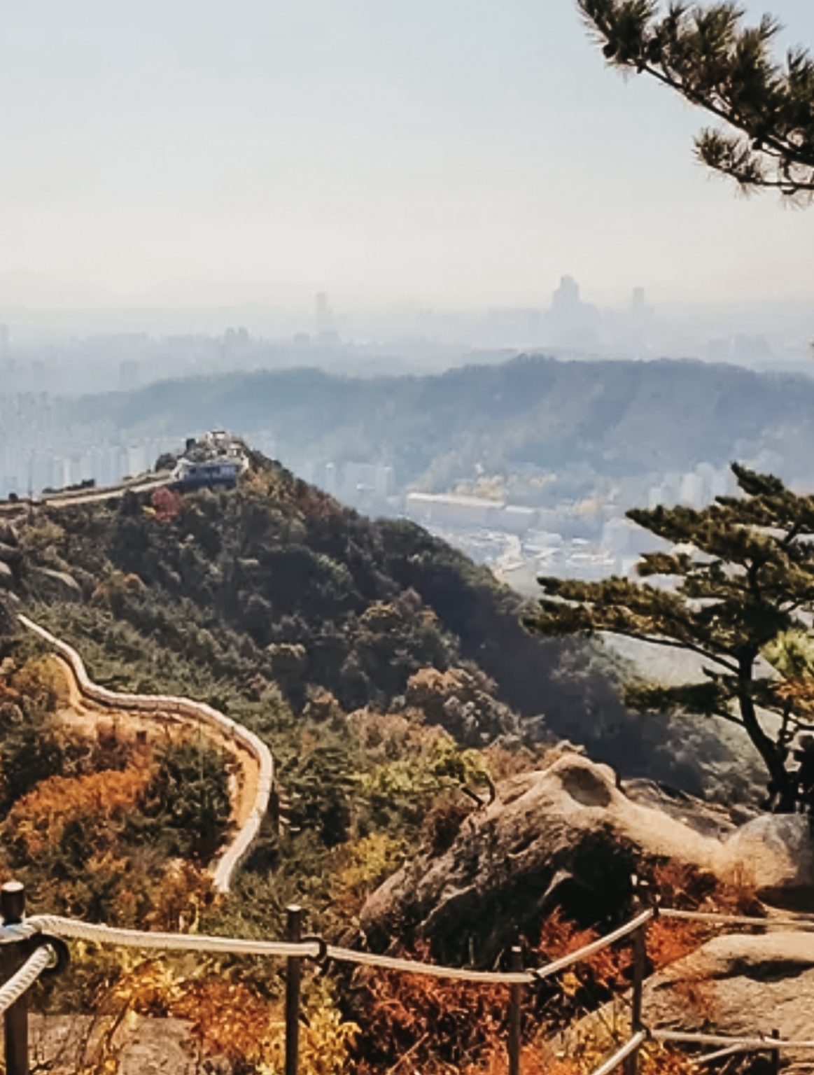 Chasing Colors: A Complete Guide to Fall Foliage in South Korea – Next ...