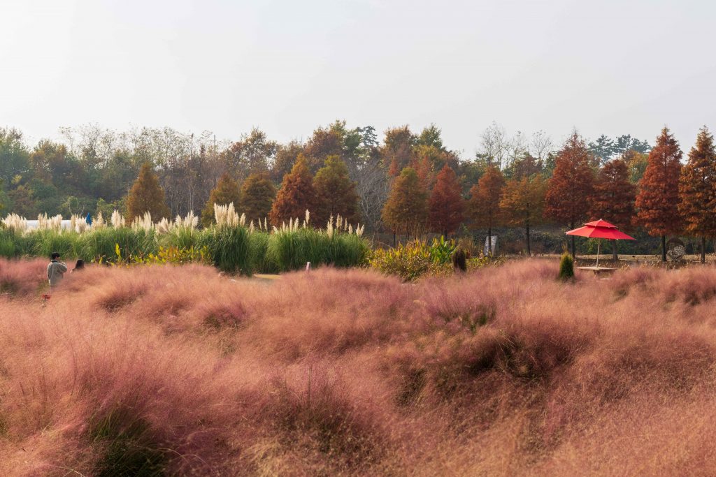 South Korea in September 2025 – Everything you need to know! – Next ...