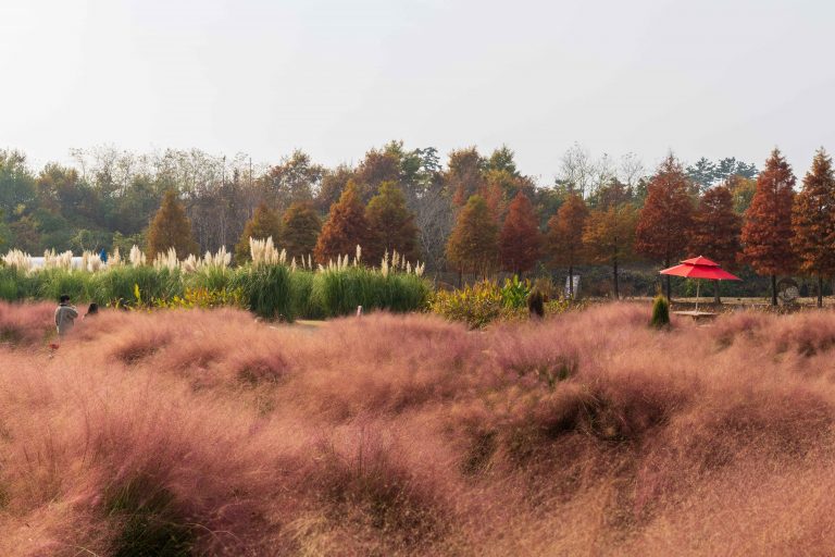 South Korea in September 2025 – Everything you need to know! – Next ...